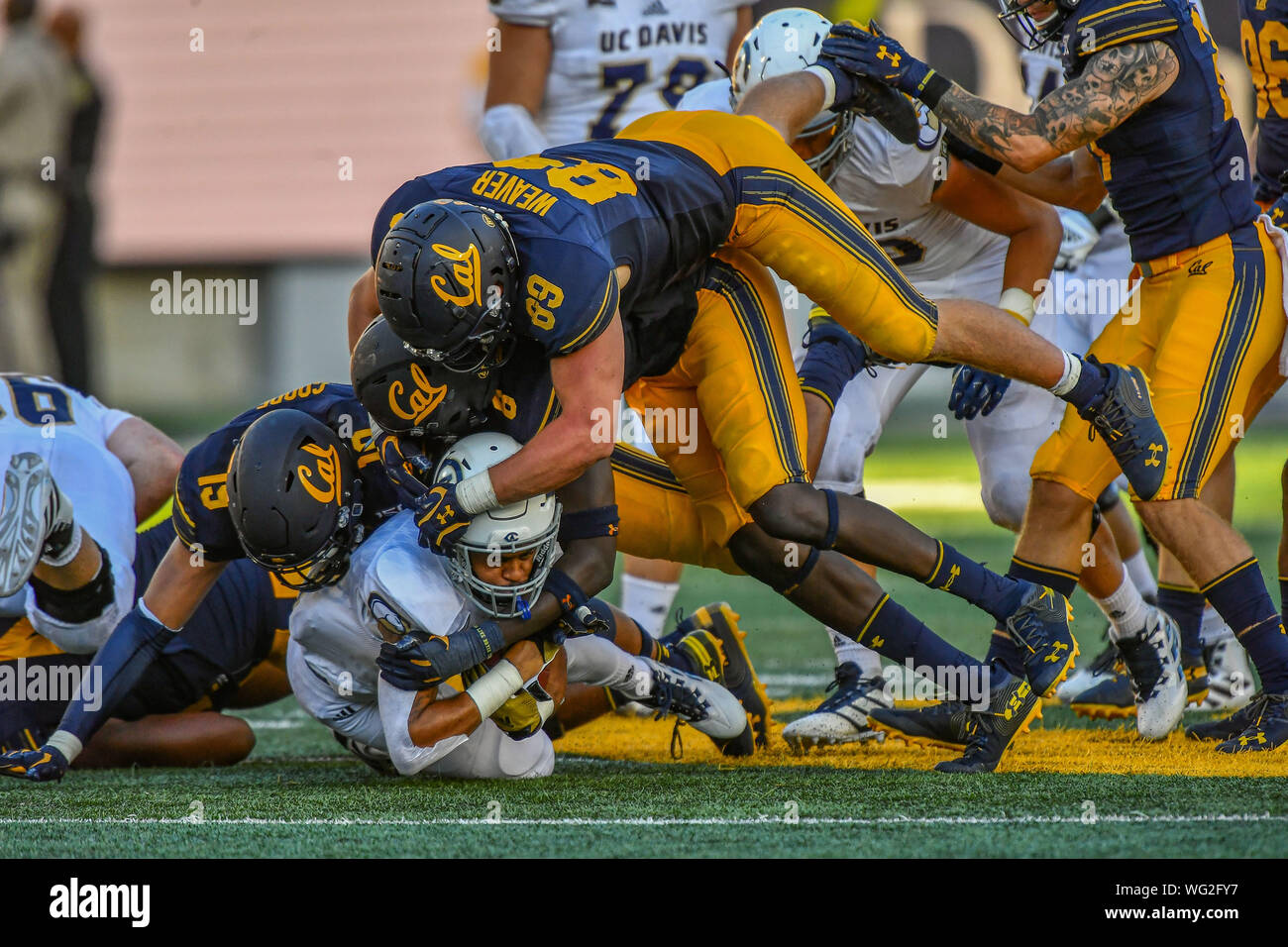 2019 600 jpg hi-res stock photography and images - Alamy