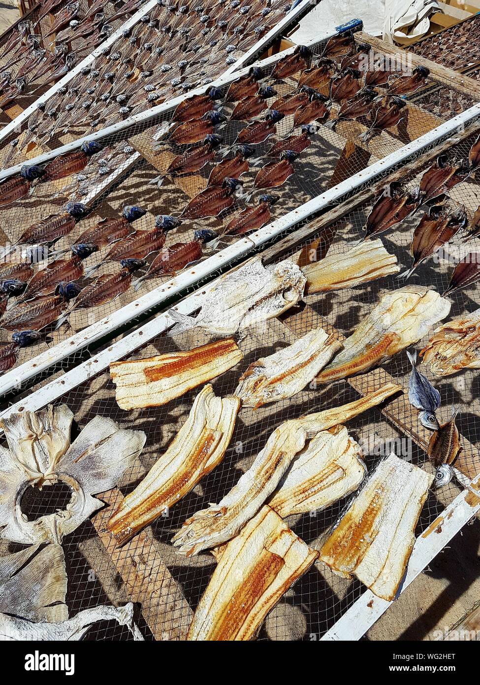 Drying seafood seafood hi-res stock photography and images - Alamy