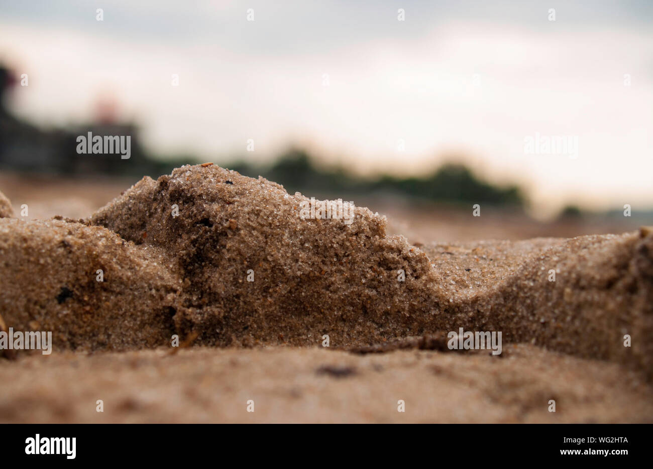 Macro photography of Rustic Sand on south Florida Stock Photo - Alamy