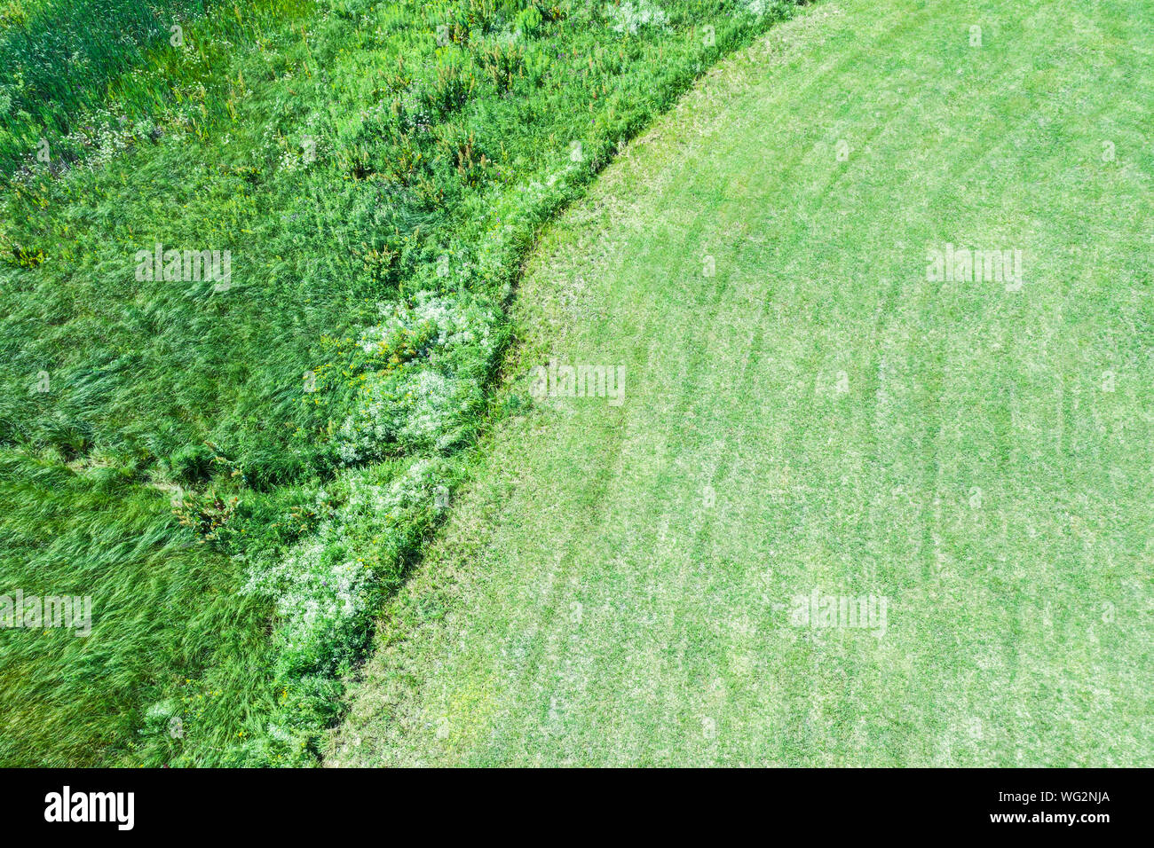 partially cut grass lawn. beautiful natural green background. aerial ...