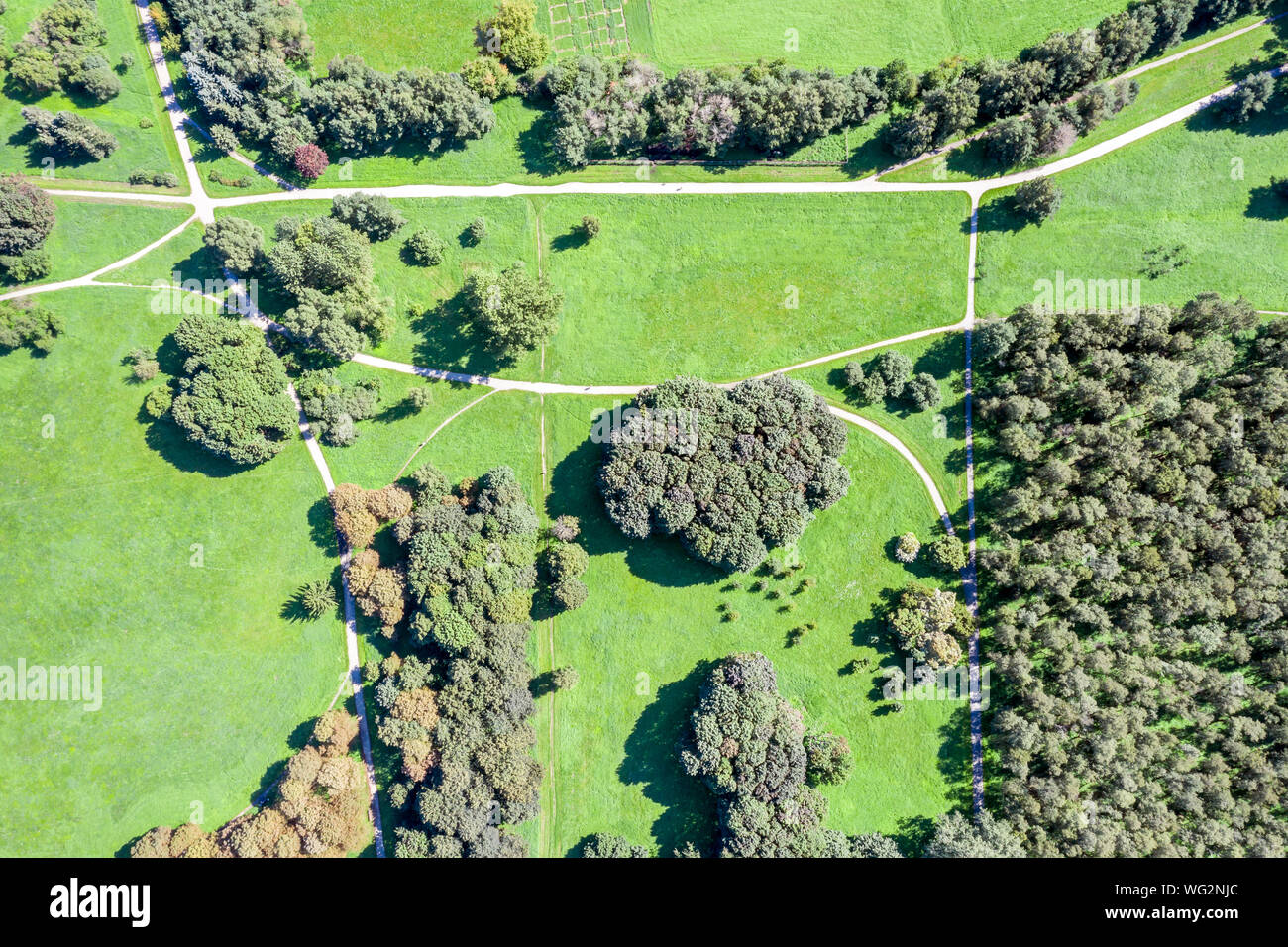 aerial top view of green park trees, lawn and walking paths in summer ...