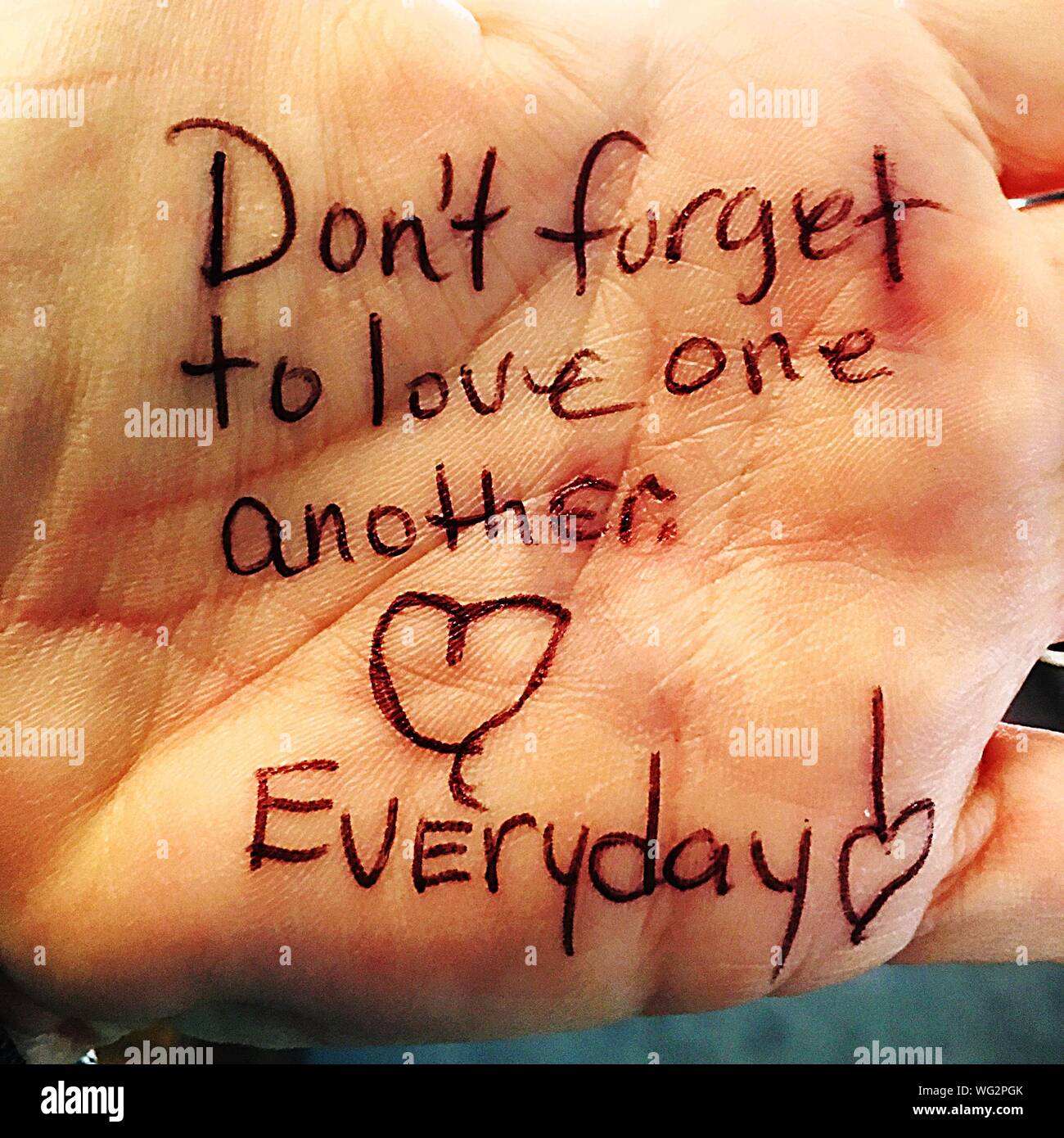 Heart Of Palm High Resolution Stock Photography and Images - Alamy