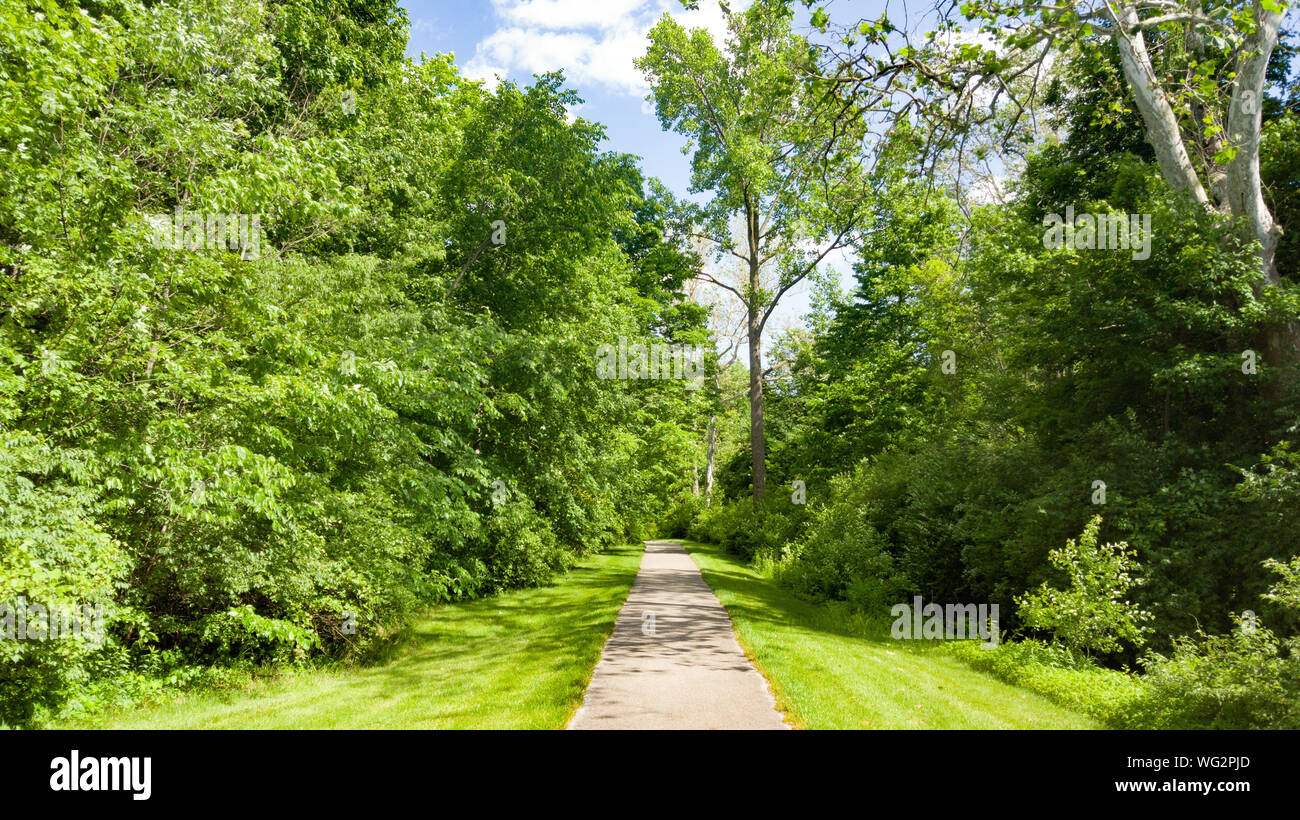 Tree vanishing point hi-res stock photography and images - Alamy