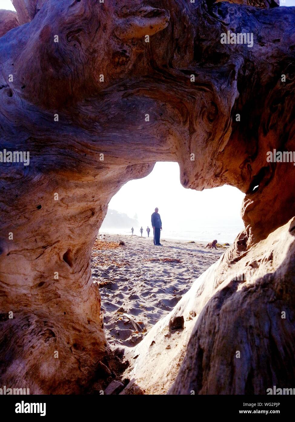 Like rock hi-res stock photography and images - Alamy