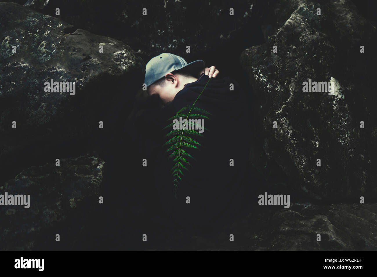 Man fern hi-res stock photography and images - Alamy