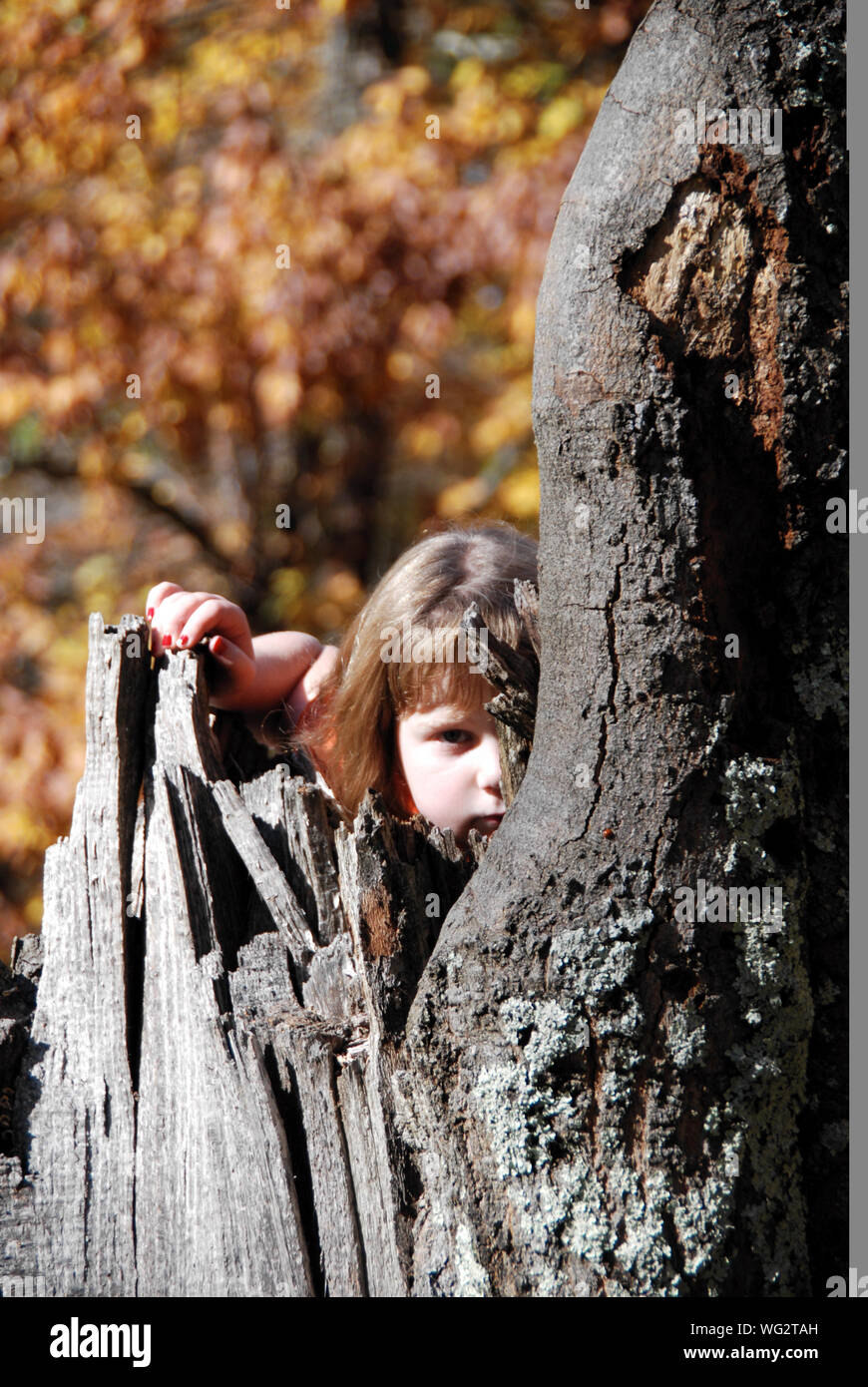 Human looking tree trunk hi-res stock photography and images - Alamy