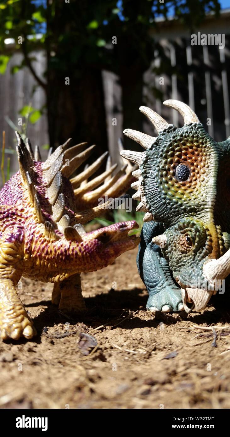 Sculpture of extinct animal hi-res stock photography and images - Alamy