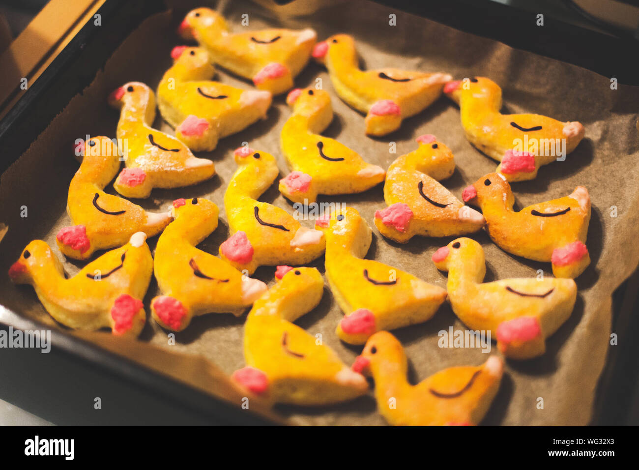 Italian duck hi-res stock photography and images - Alamy