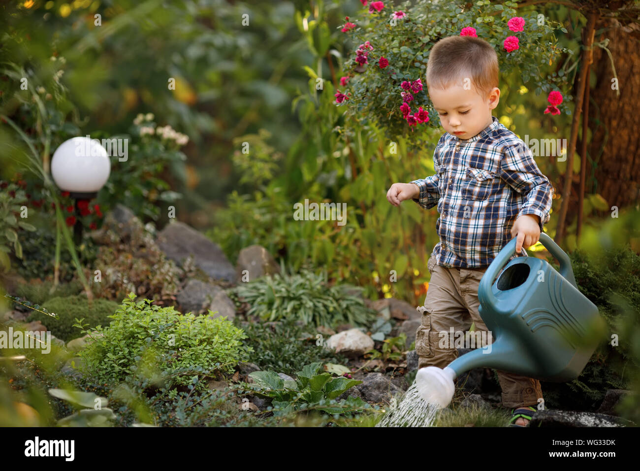 little boy gardener with watering can Stock Photo - Alamy