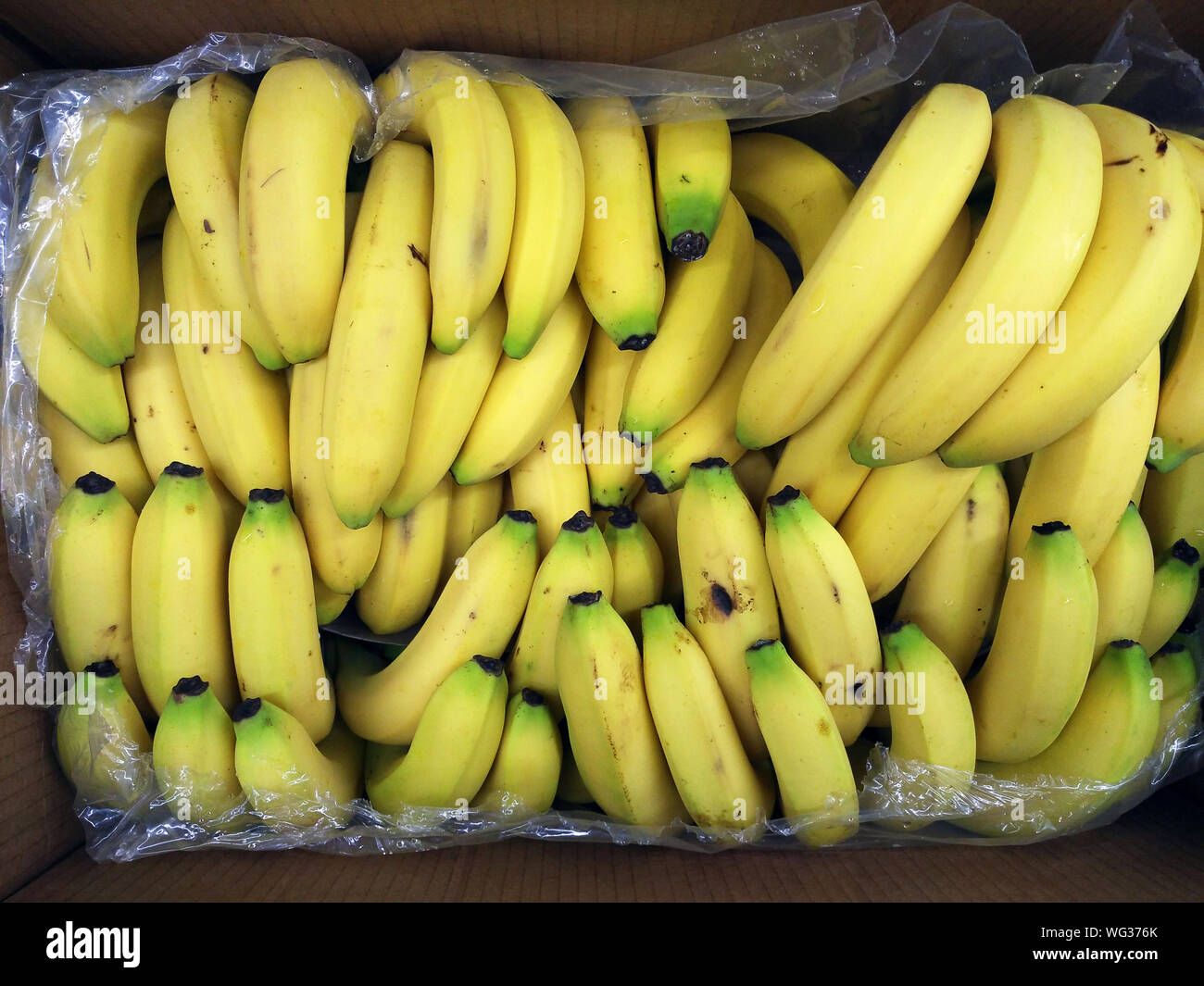 Bananas in box hi-res stock photography and images - Alamy