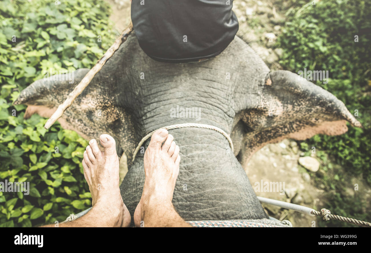Man on elephant hi-res stock photography and images - Alamy