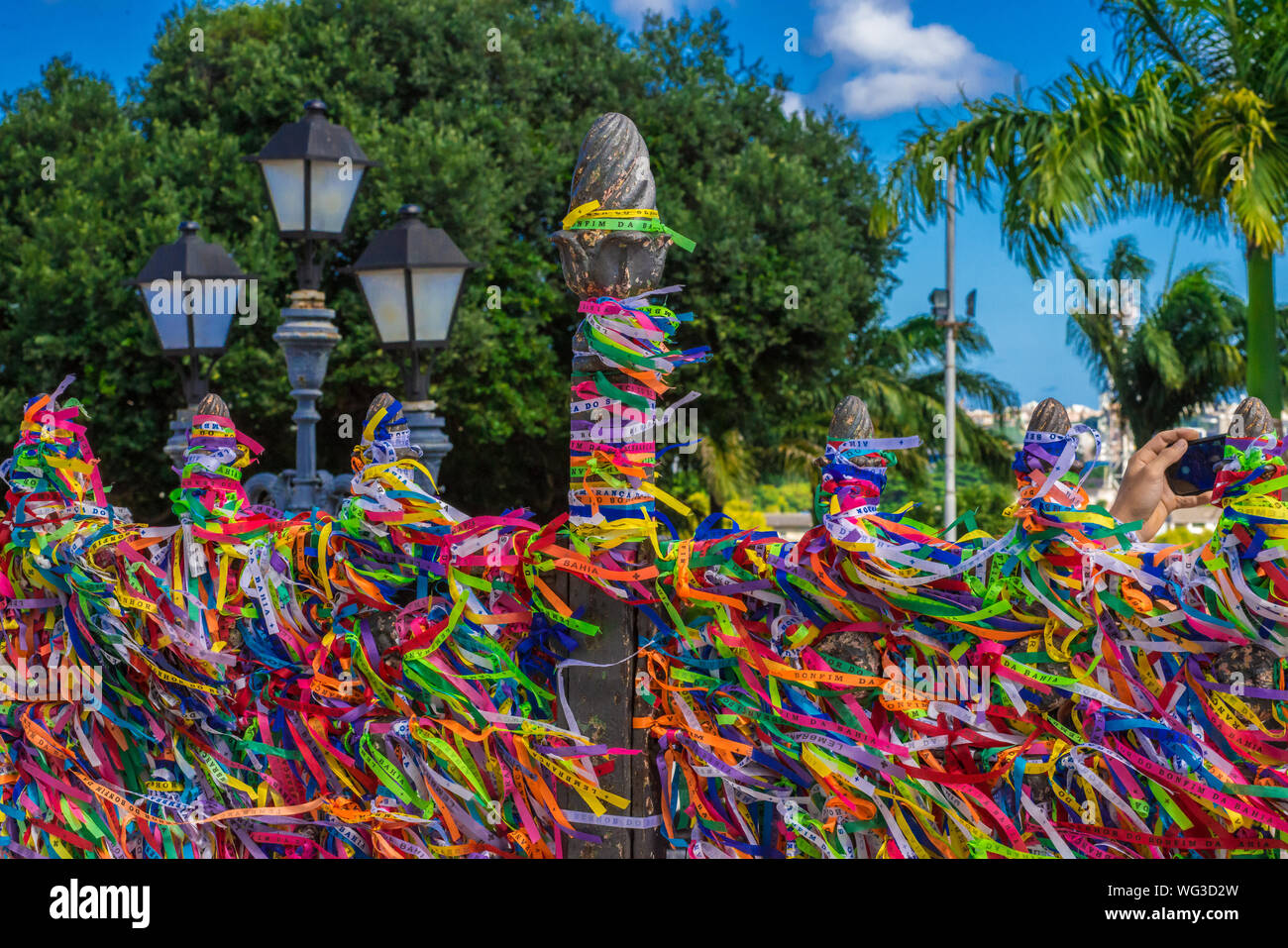 Ribbons tied to trees hi-res stock photography and images - Alamy