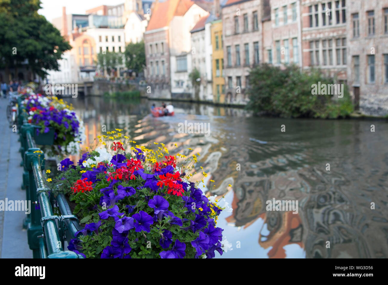 Growing in the canal hi-res stock photography and images - Alamy