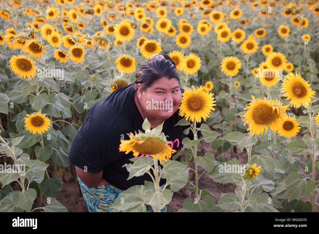 Fat field plant hi-res stock photography and images - Alamy