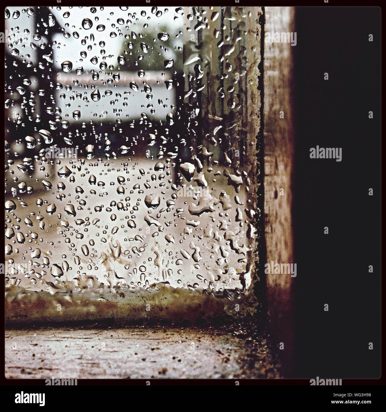 Wet house hi-res stock photography and images - Alamy