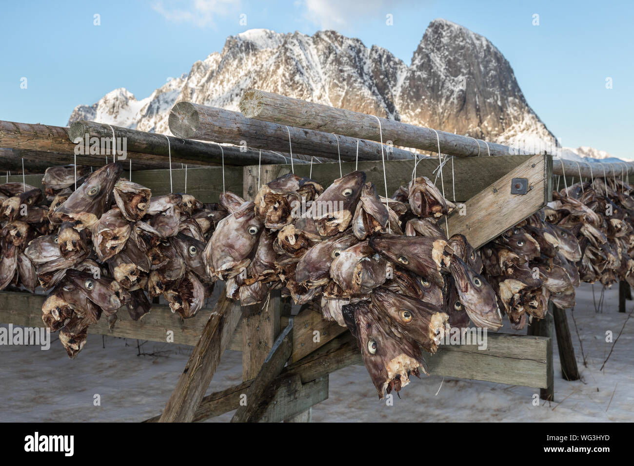 On post with fish hi-res stock photography and images - Alamy