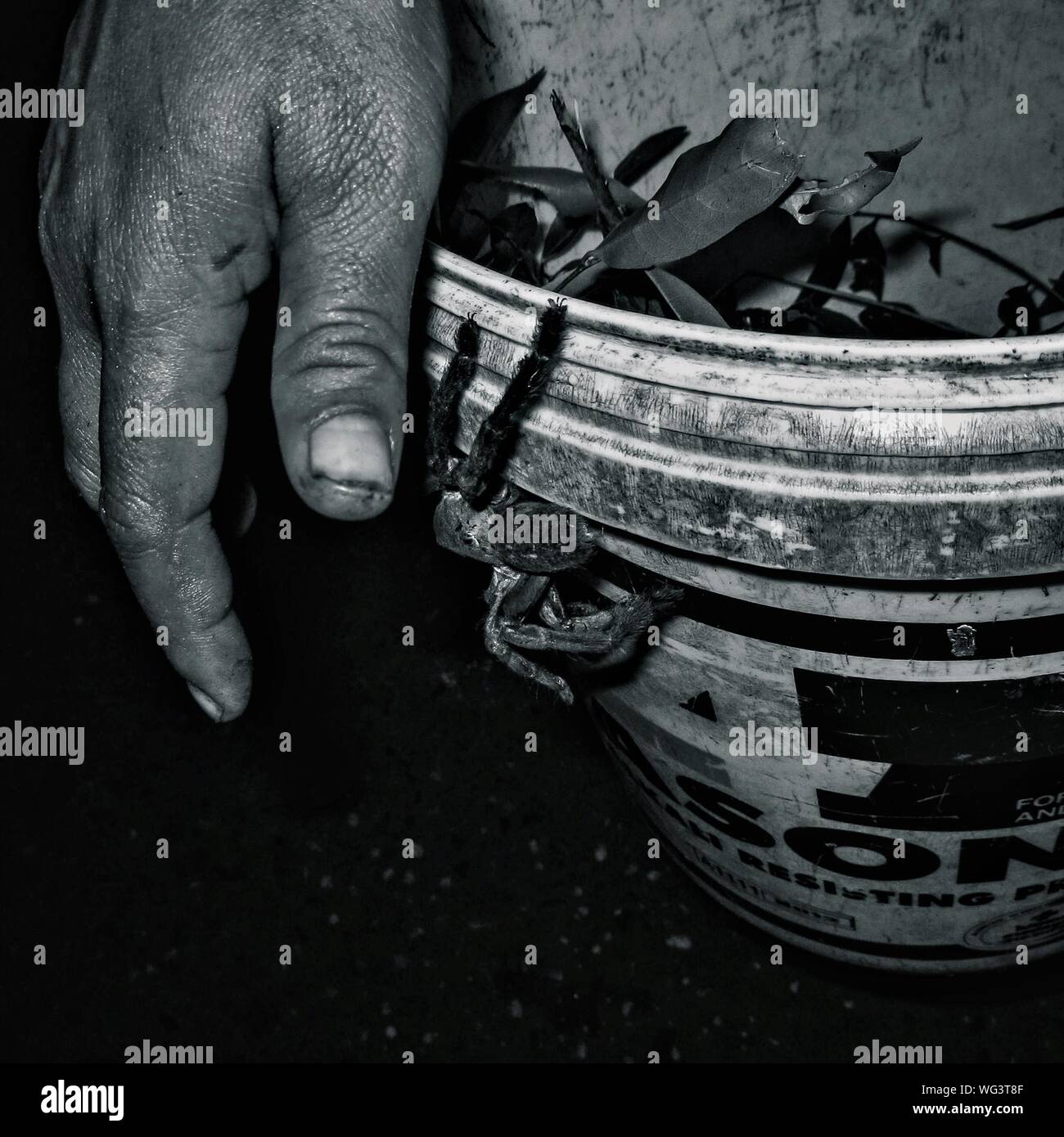 Bucket hand hi-res stock photography and images - Alamy