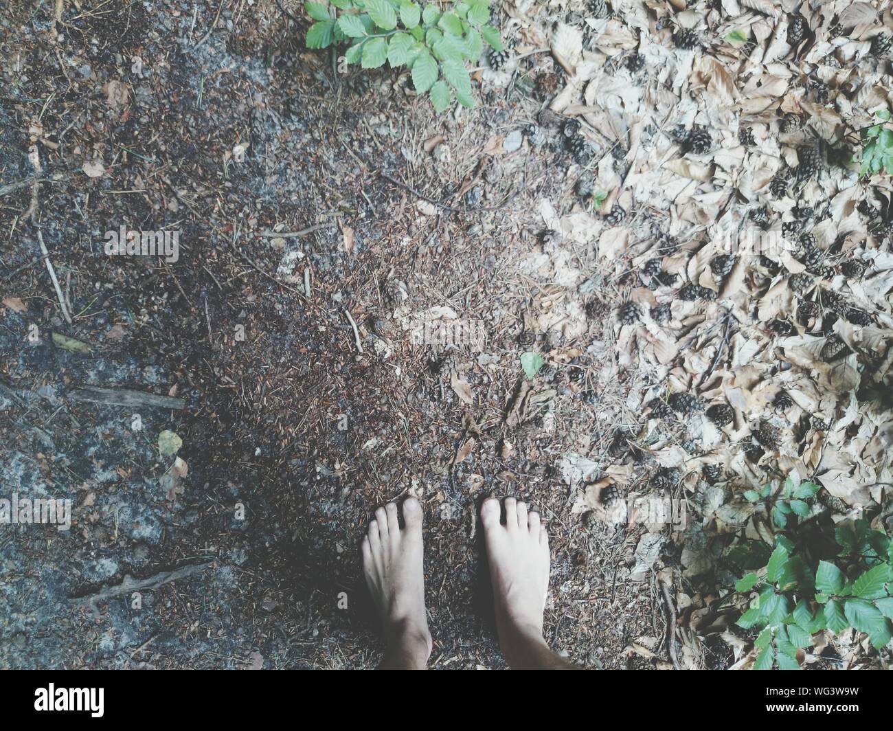 Barefoot barefeet hi-res stock photography and images - Alamy