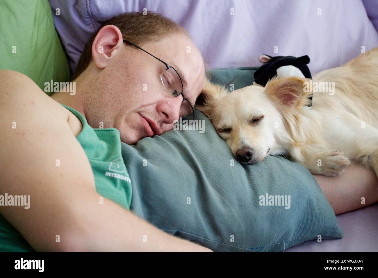 Dog and sleeping man bed hi-res stock photography and images - Alamy