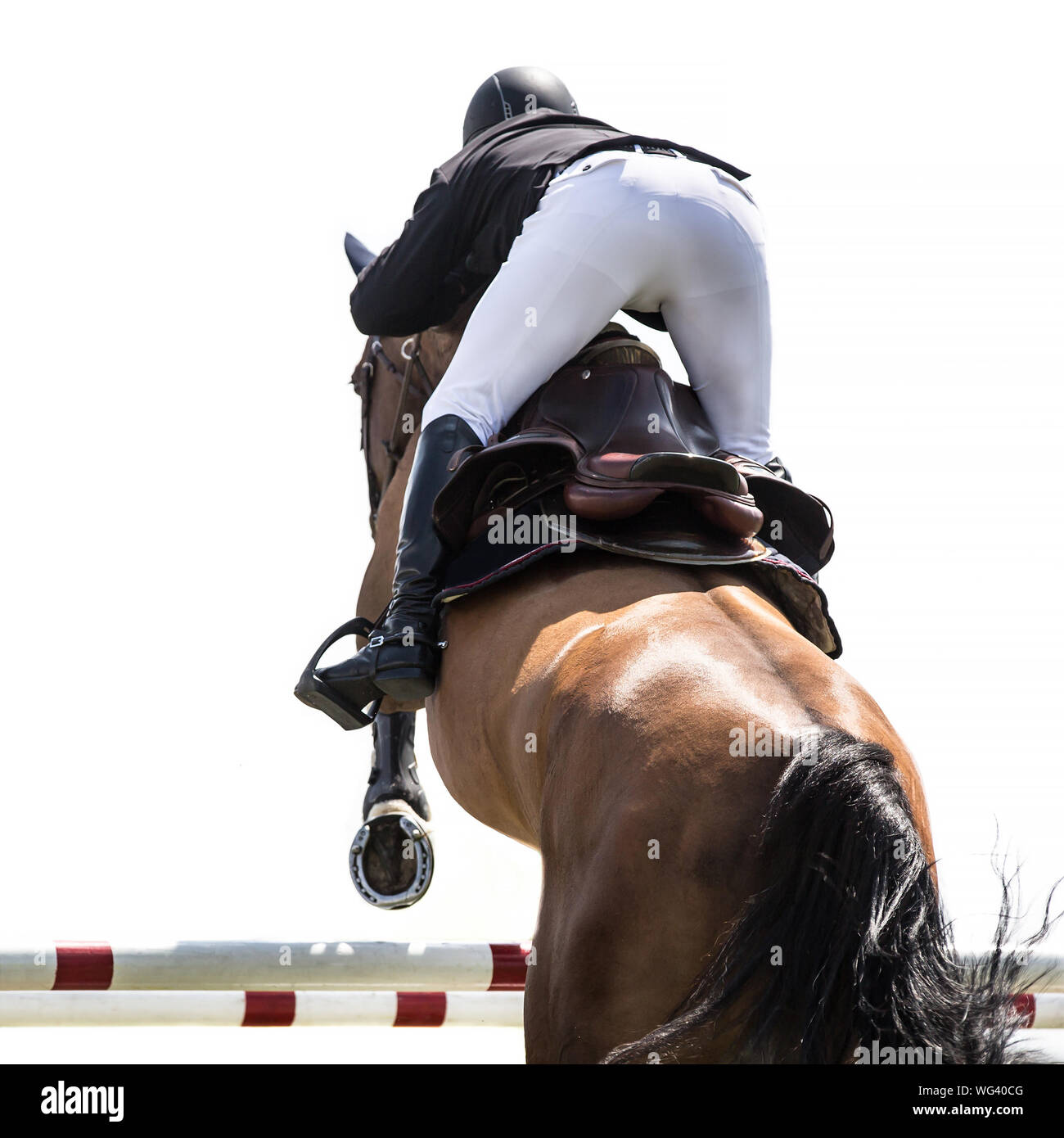 Race Horse And Jockey Jumping Stock Photos & Race Horse And Jockey ...