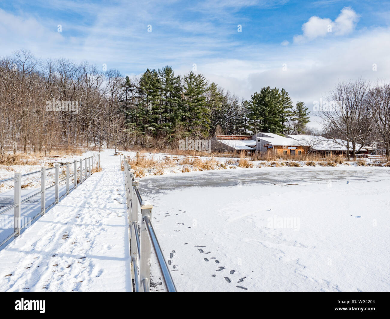 Snowy forest and trail in Quarry Hill Nature Center, Rochester ...