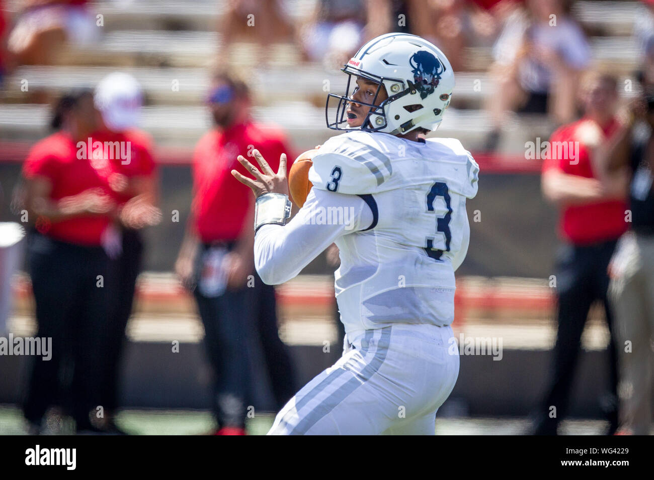 Howard bison hi-res stock photography and images - Alamy