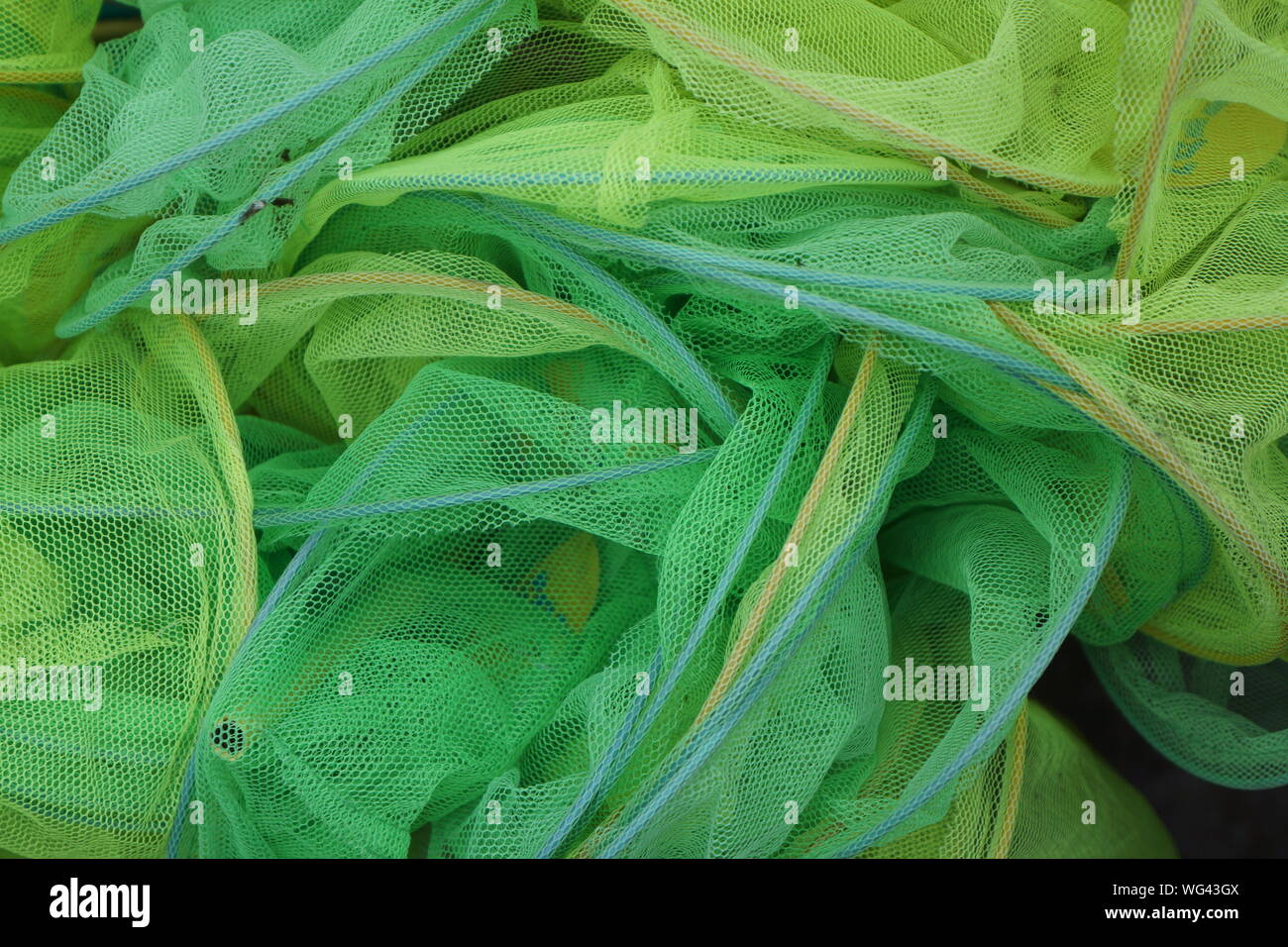 Green fishing hi-res stock photography and images - Alamy