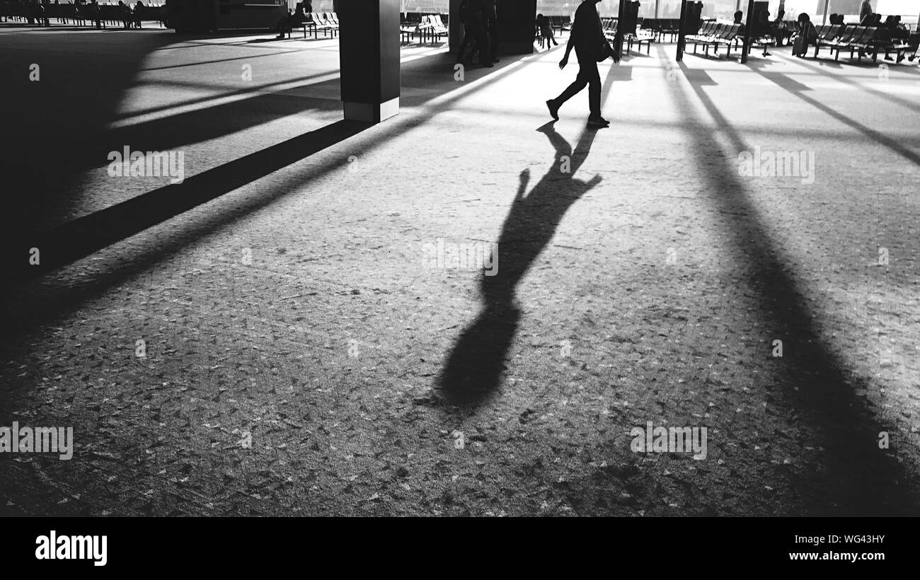Man Walking Side View Sunlight Black and White Stock Photos & Images ...