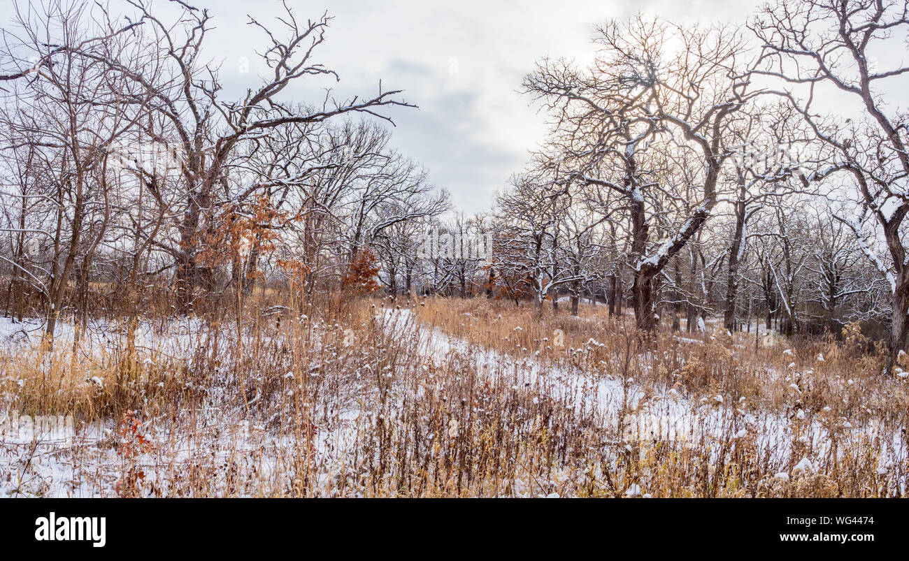 Snowy forest and trail in Quarry Hill Nature Center, Rochester ...