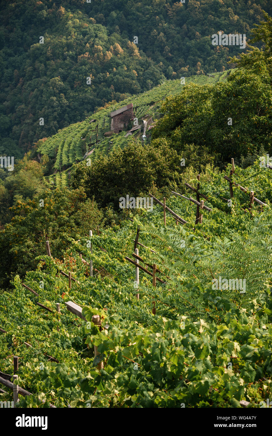 The valley cembra hi-res stock photography and images - Alamy