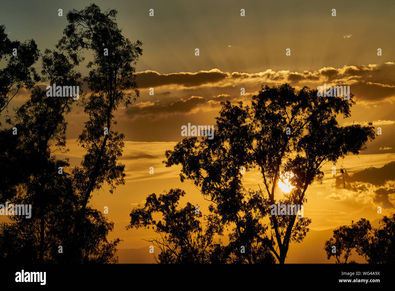 Los Fuertes High Resolution Stock Photography and Images - Alamy