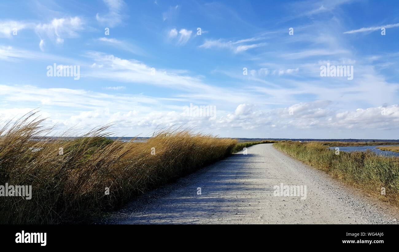 Marram Road High Resolution Stock Photography and Images - Alamy