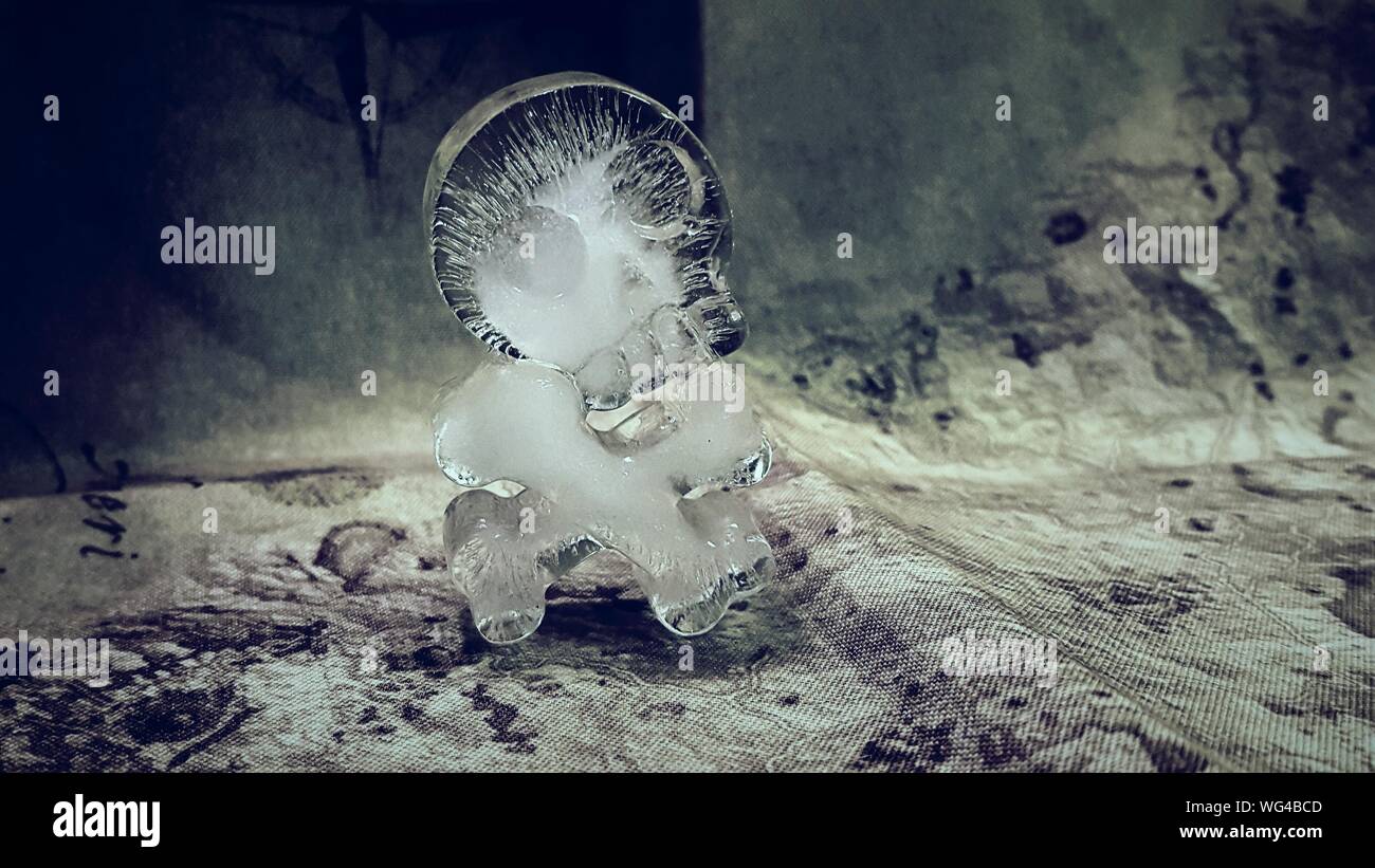 Ice skull hi-res stock photography and images - Alamy