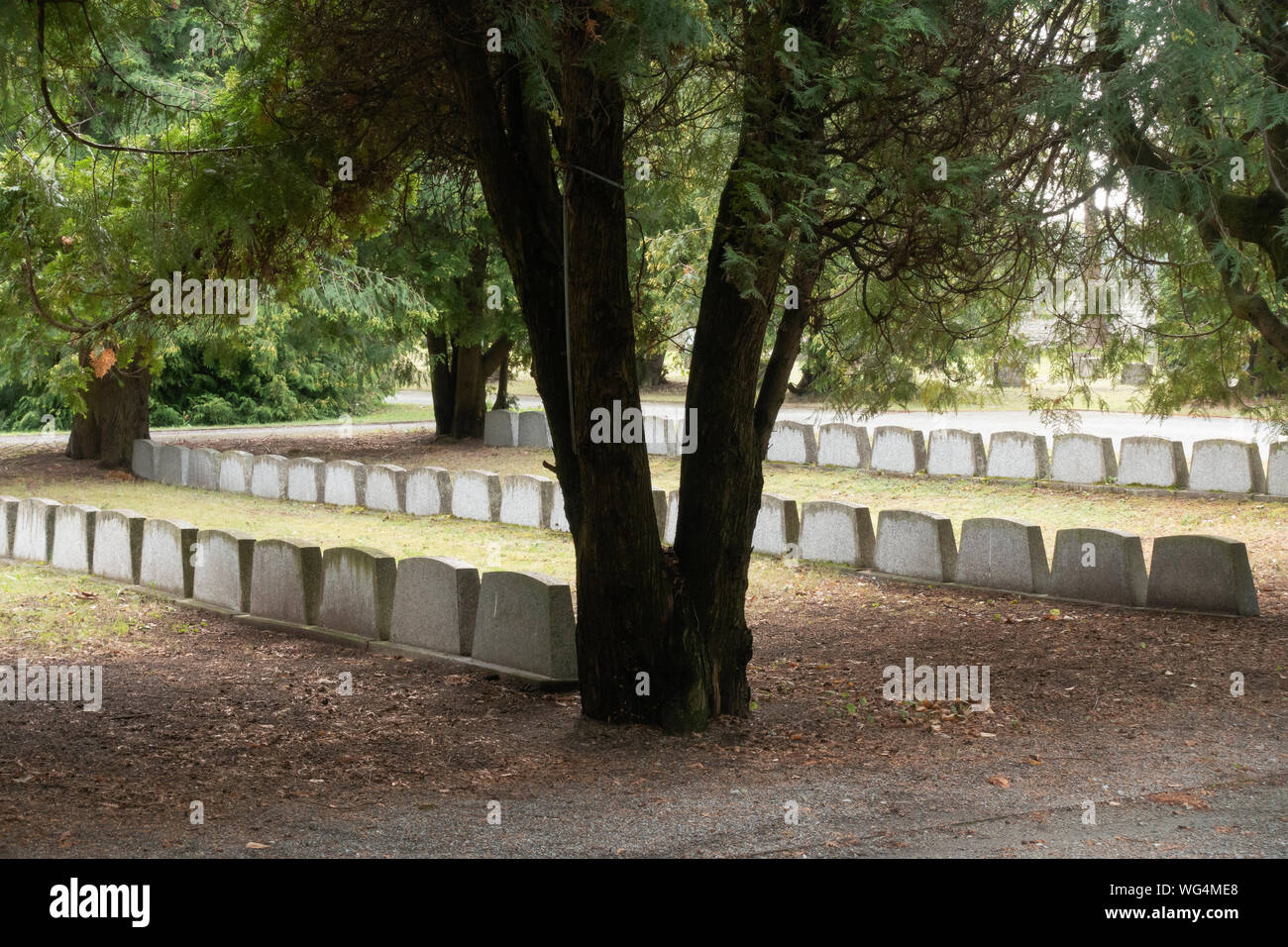 Line of graves at defence forces cemetery in Tallinn Estonia Stock ...