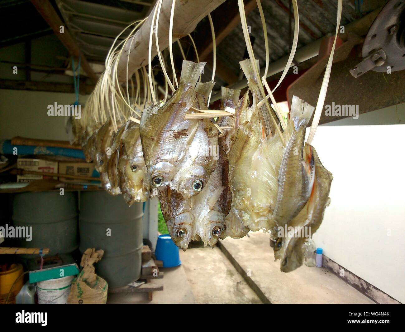 Fish stick hi-res stock photography and images - Alamy