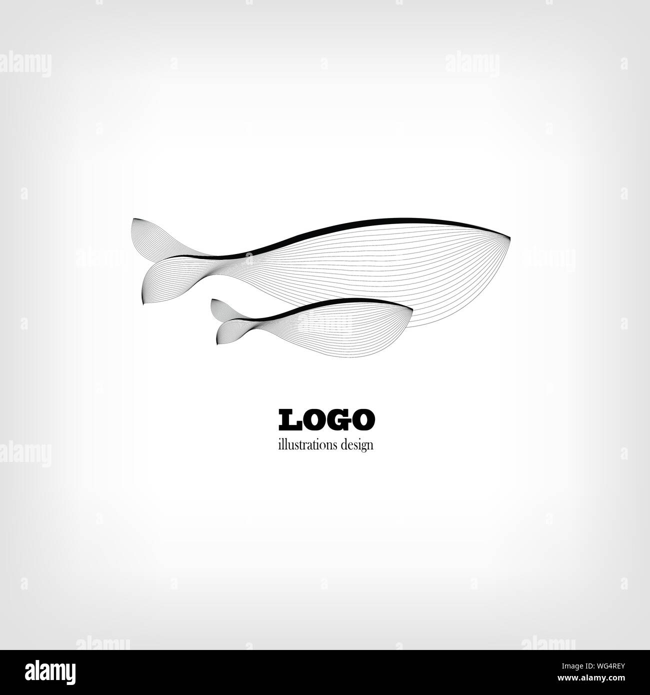 Black line whale on white background. Hand drawing vector. Sketch style ...