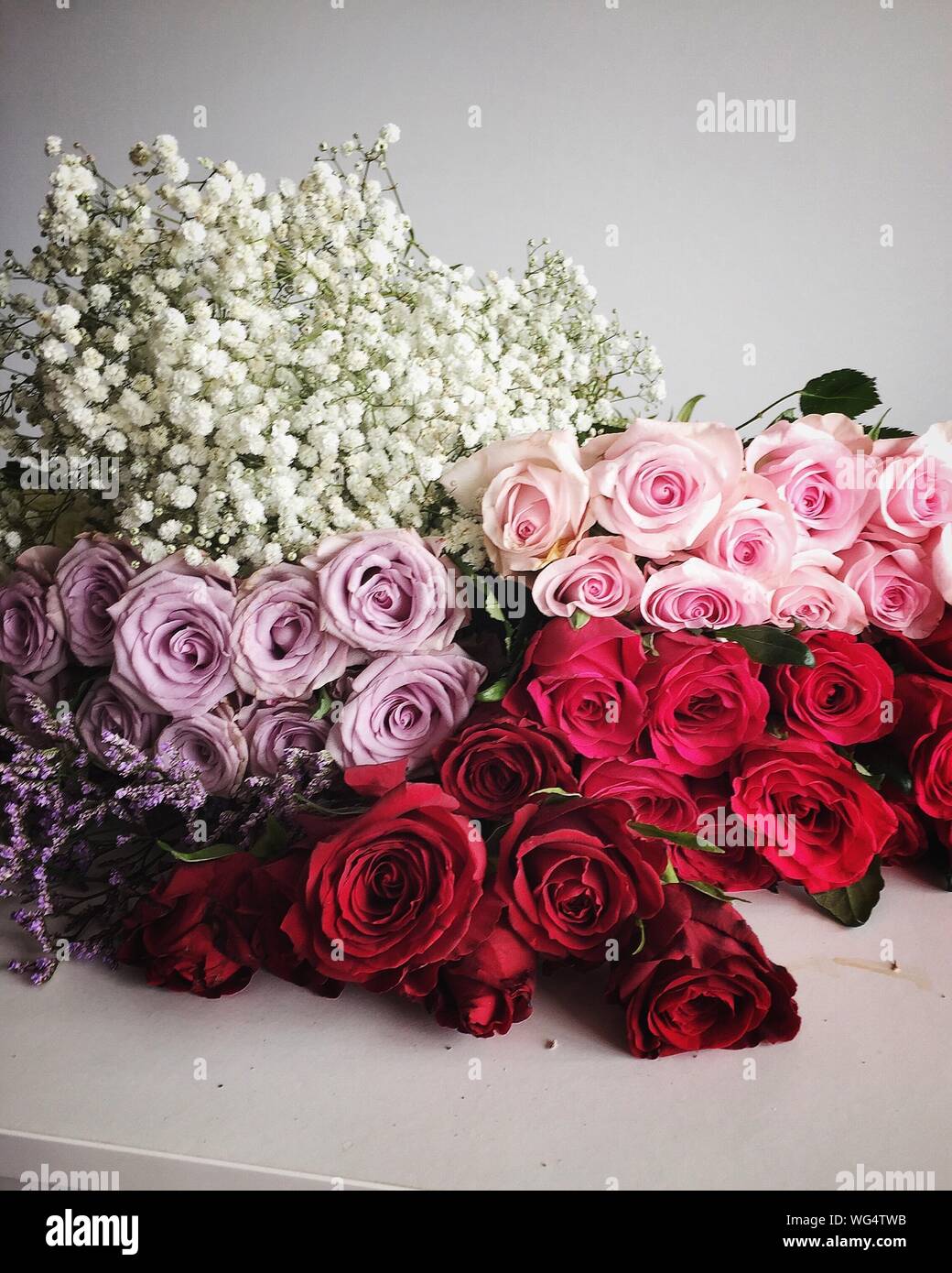 Large bunch of red roses hi-res stock photography and images - Alamy