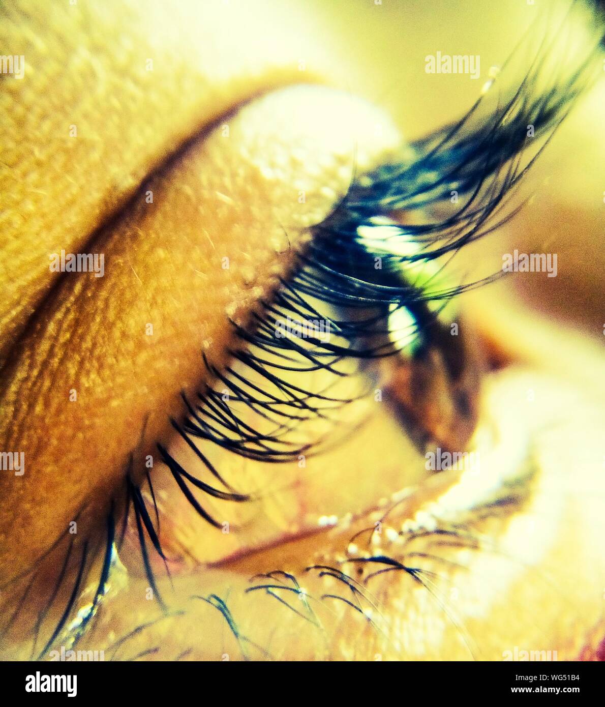 Auto eye focus hi-res stock photography and images - Alamy