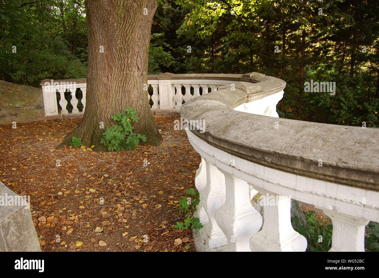 Wall with trees hi-res stock photography and images - Alamy