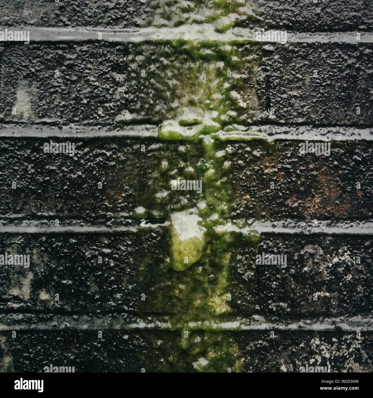 Wet brick hi-res stock photography and images - Alamy