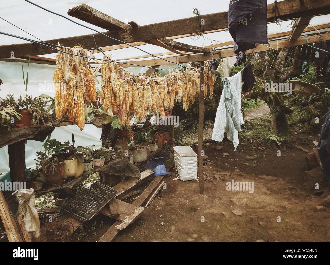 Corn house hi-res stock photography and images - Alamy