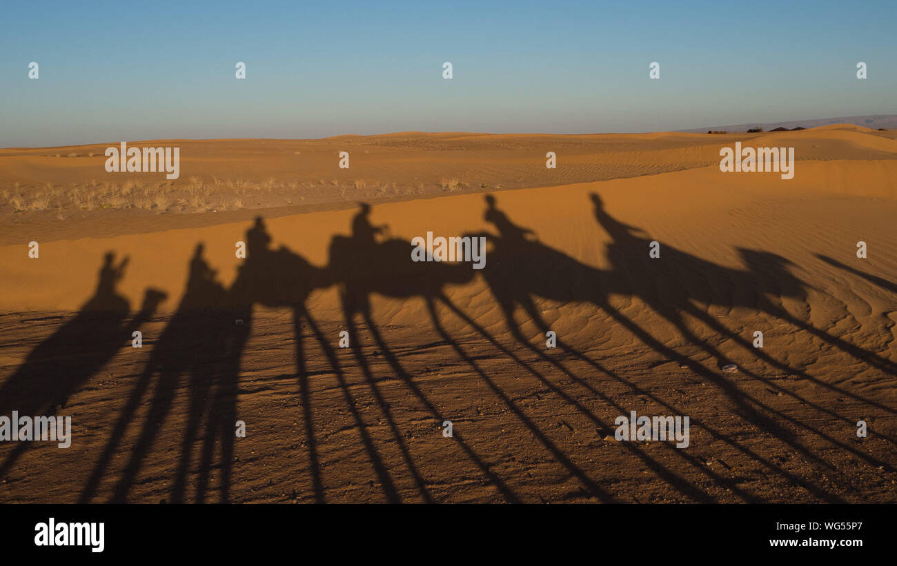 Shadow of dune hi-res stock photography and images - Alamy