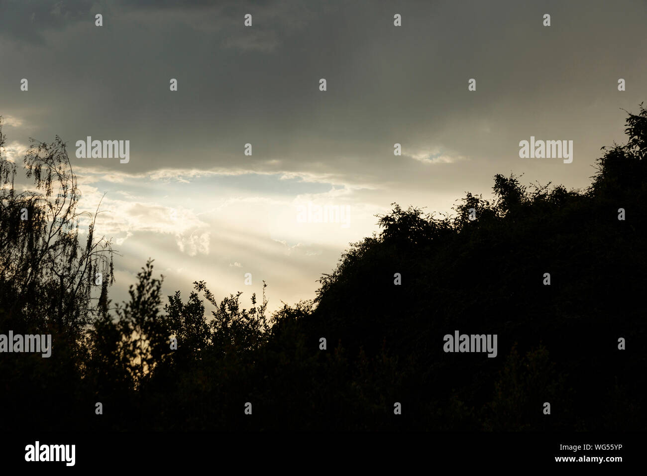 Light pouring down hi-res stock photography and images - Alamy