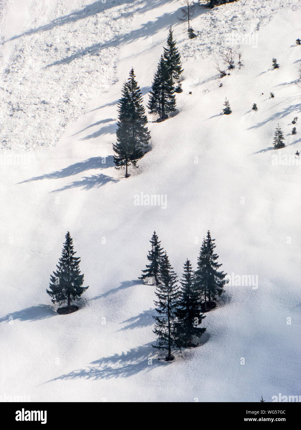 Tree slope hi-res stock photography and images - Alamy
