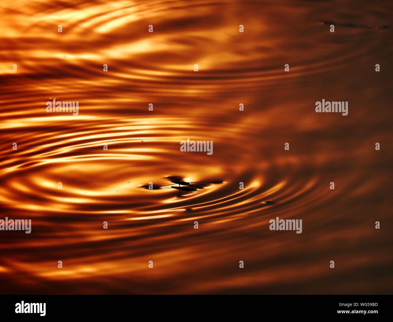 Surface rippled hi-res stock photography and images - Alamy