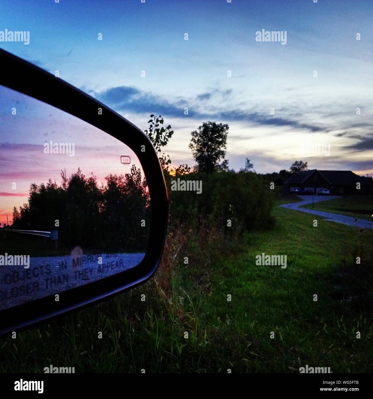 Tree trees grass mirror hi-res stock photography and images - Alamy