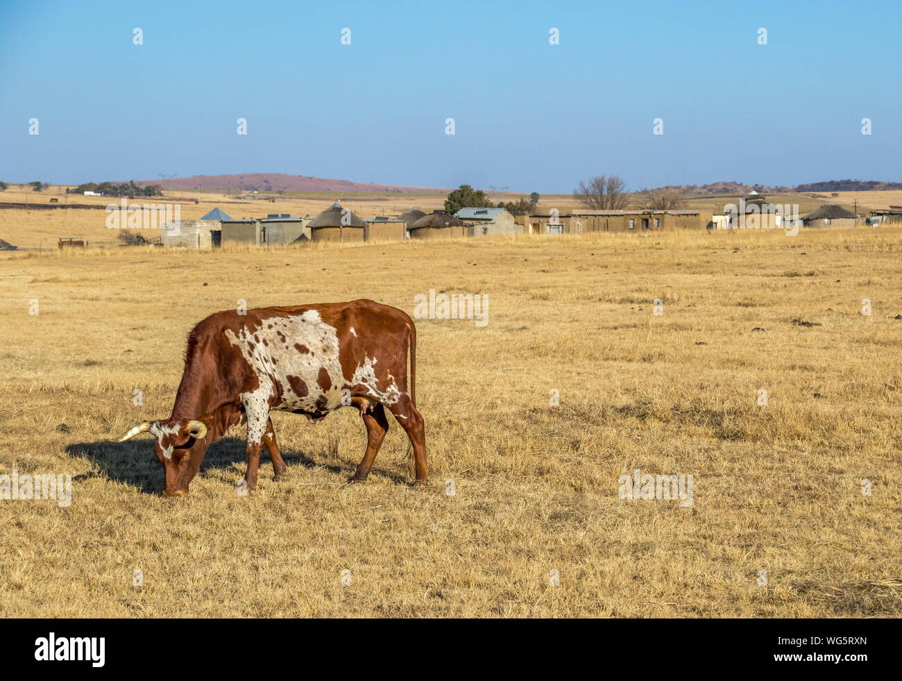 Typical african village hi-res stock photography and images - Alamy