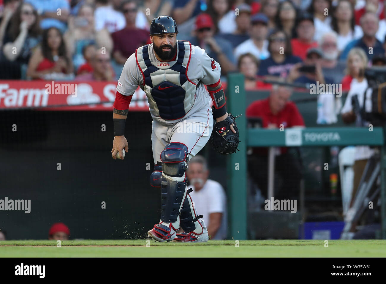 Anaheim, USA. 31st Aug, 2019. August 31, 2019: Boston Red Sox catcher ...