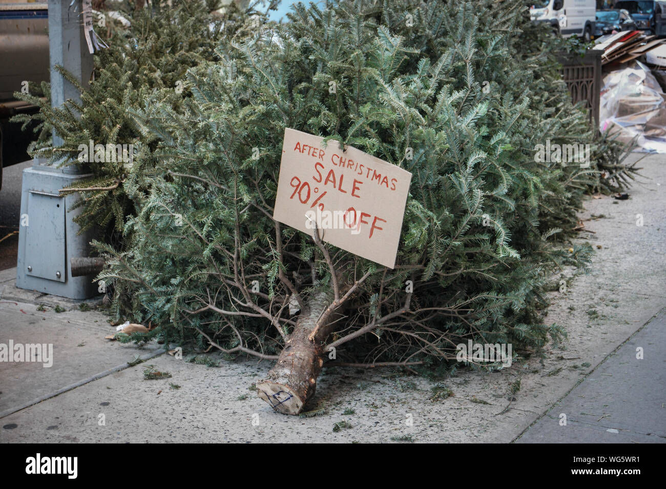 Fallen tree on road hi-res stock photography and images - Alamy