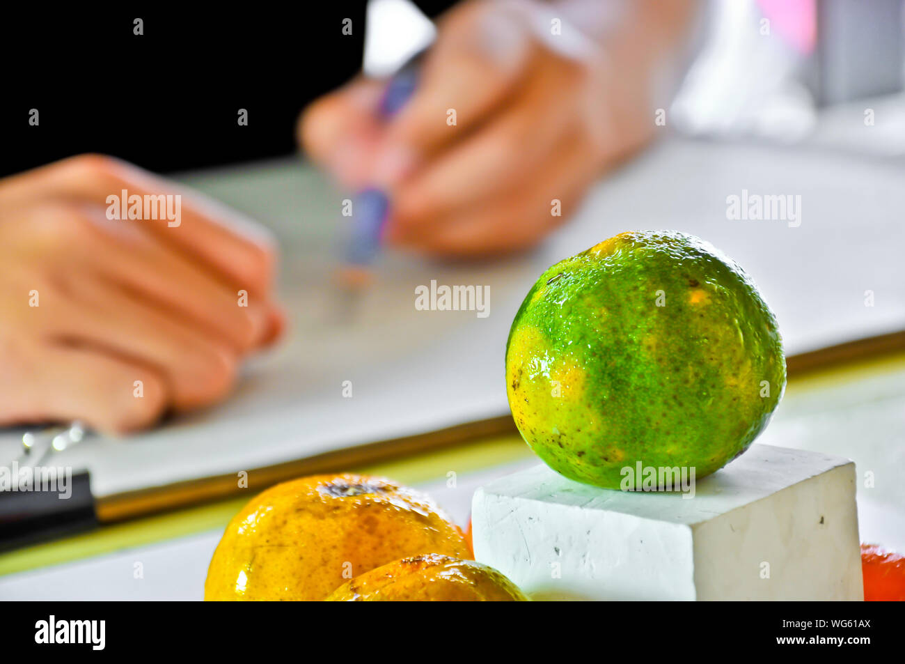 Pencil drawing fruits hi-res stock photography and images - Alamy